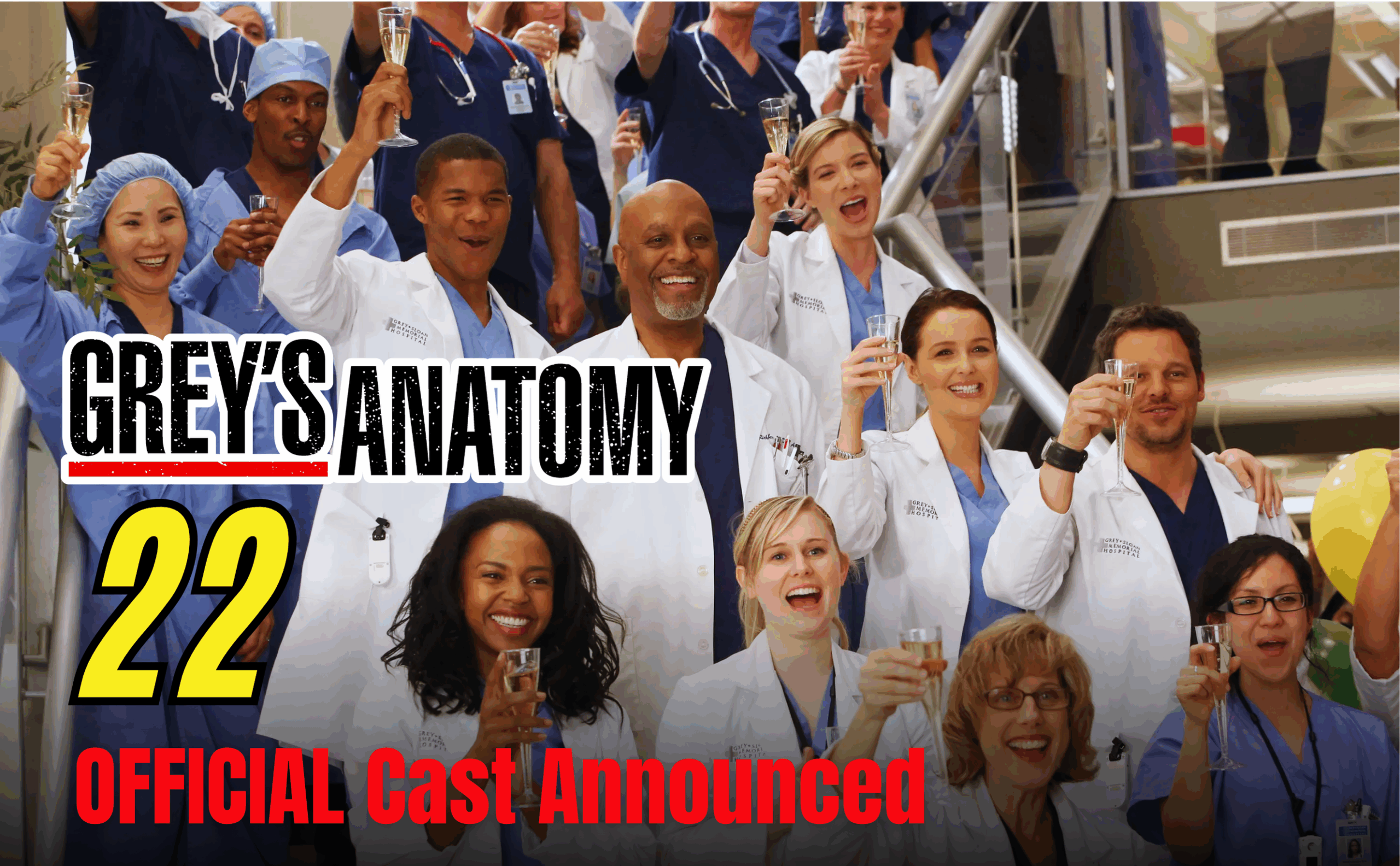 Grey’s Anatomy Season 22 OFFICIAL Cast Announced – Daily News